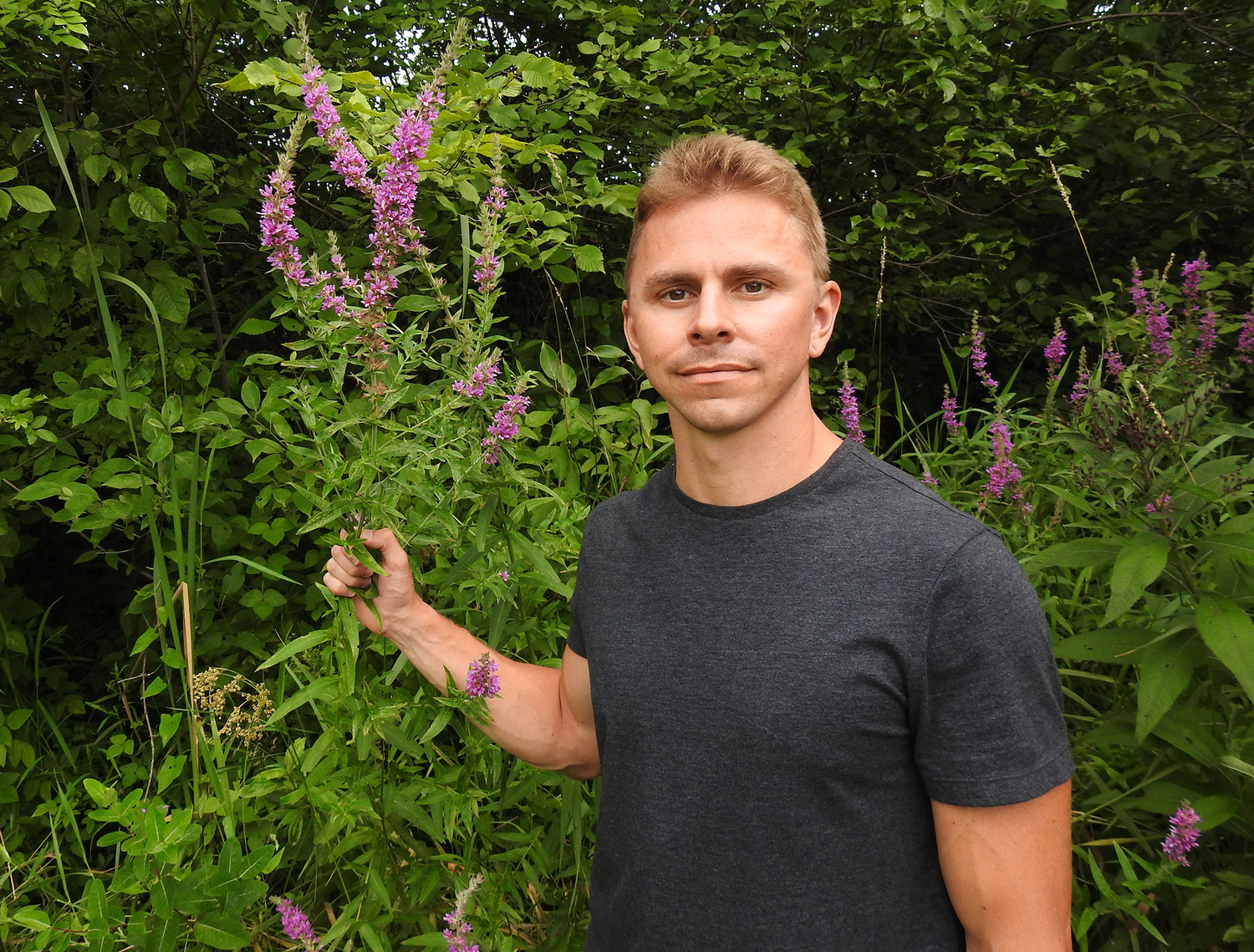 Forager's Radio Podcast – Forager's Kingdom