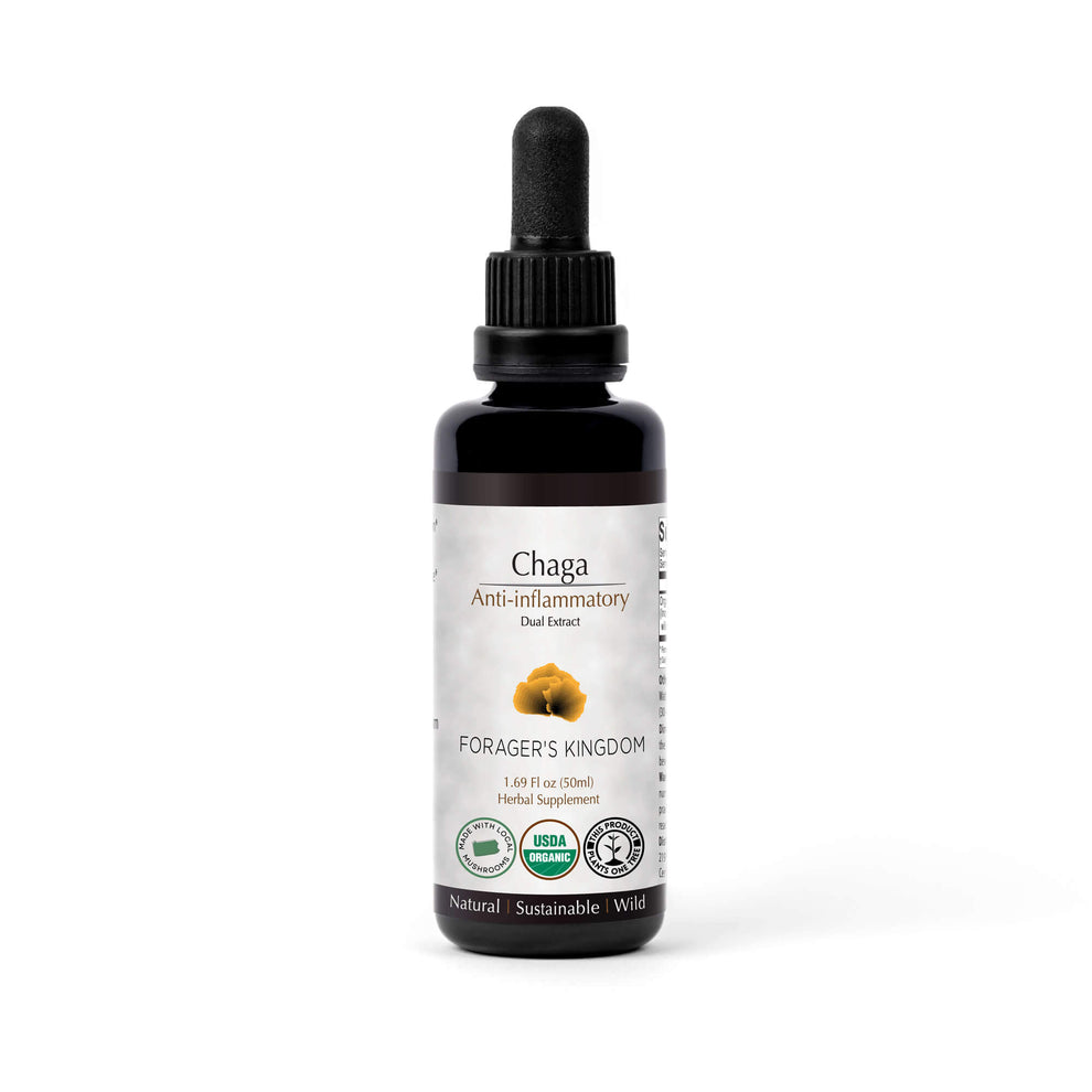 Chaga Extract- Inflammation Support – Forager's Kingdom