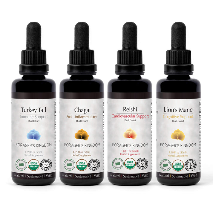 Longevity Mushrooms Bundle | Gut, Sleep, & Cognitive Support – Forager's Kingdom