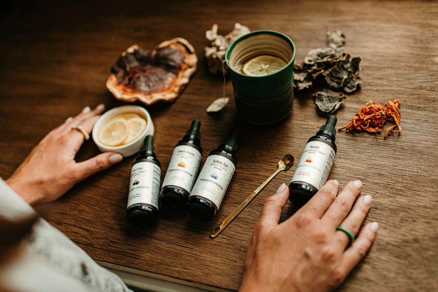 Foragers Kingdom The Worlds Most Sustainable Mushroom Extracts